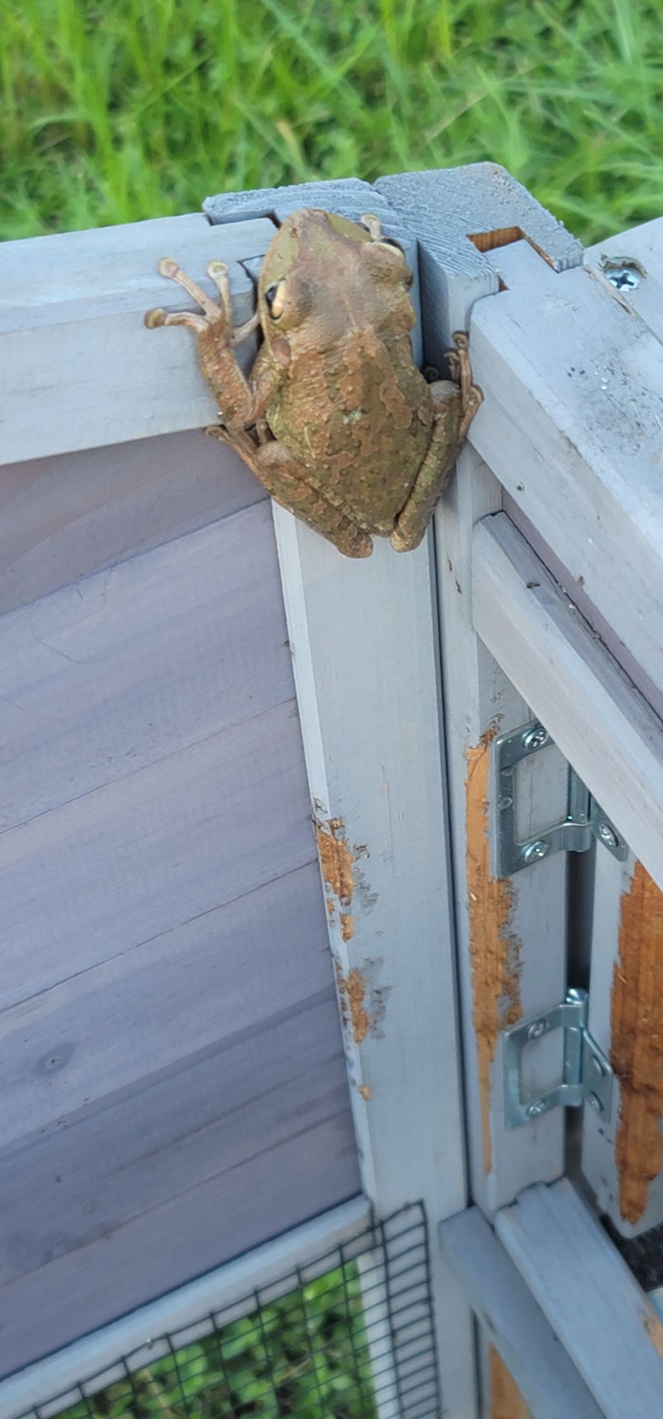 TW Pornstars - 1 pic. Eldritch Goddess Of Sin. Twitter. Threw out the ...