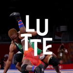 Fédération Française de Lutte et Disciplines Associées (FFLDA)