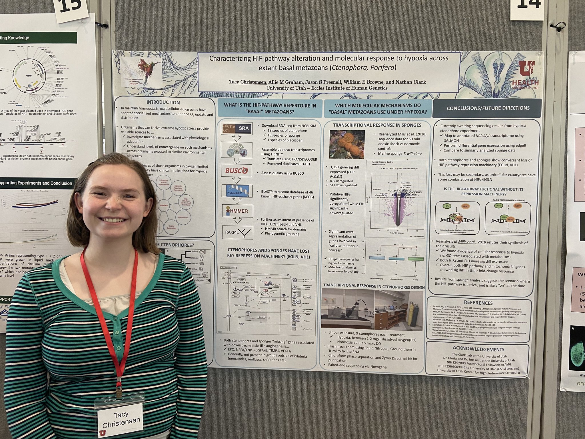 Science Fair Poster Board Template