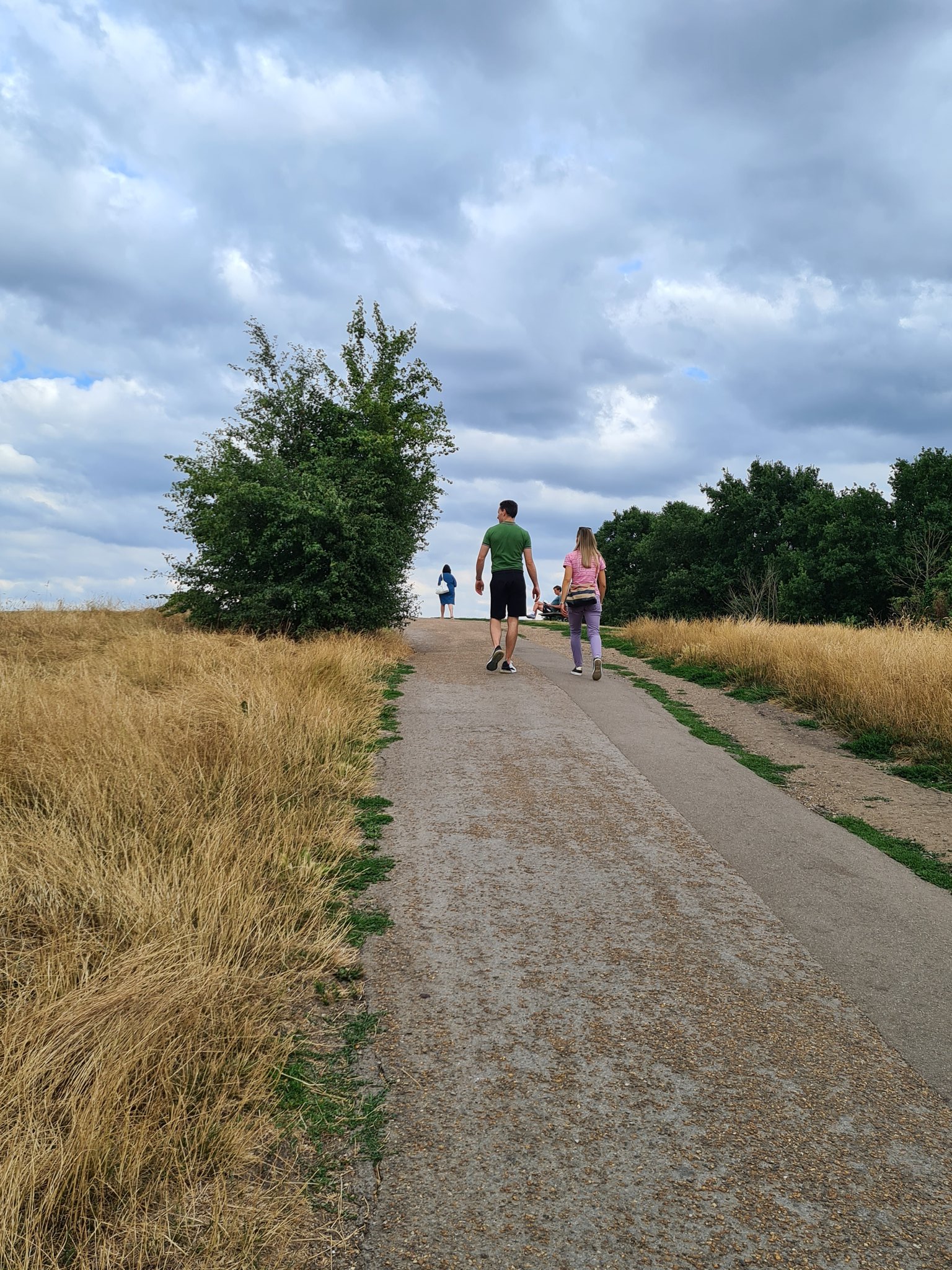 The Heath & Hampstead Society – Fighting to preserve the wild and ...