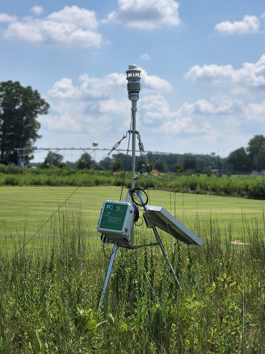 POGO – POGO Turf Pro