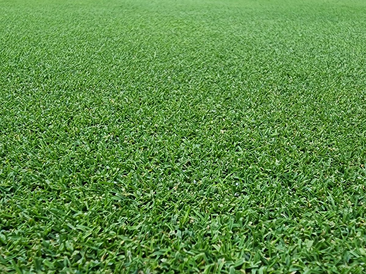 POGO – POGO Turf Pro