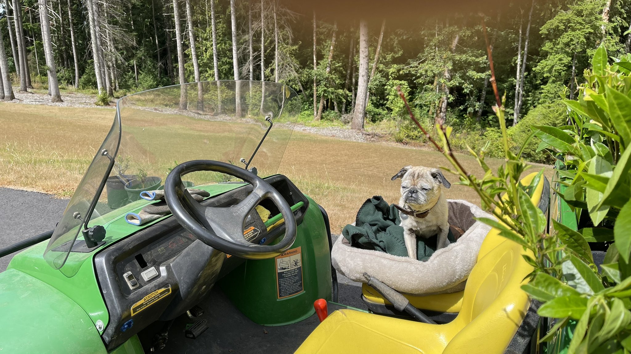 TW Pornstars - 3 pic. Lady Vi. Twitter. Lily does not look excited to ...