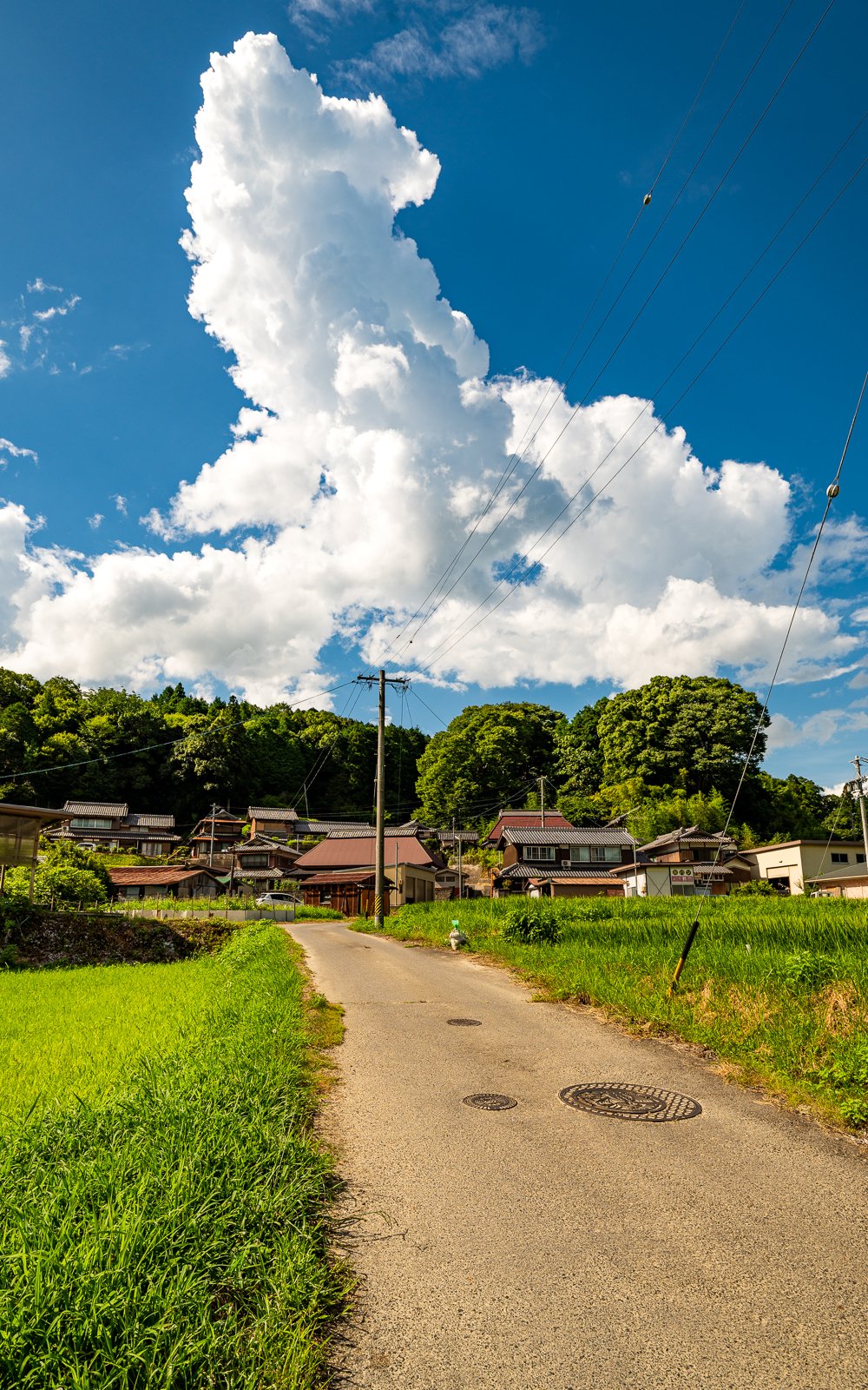 dokubutu on Twitter: "真夏になると どこかに帰りたく なる。 https://t.co/F8UECRIfkd" / Twitter