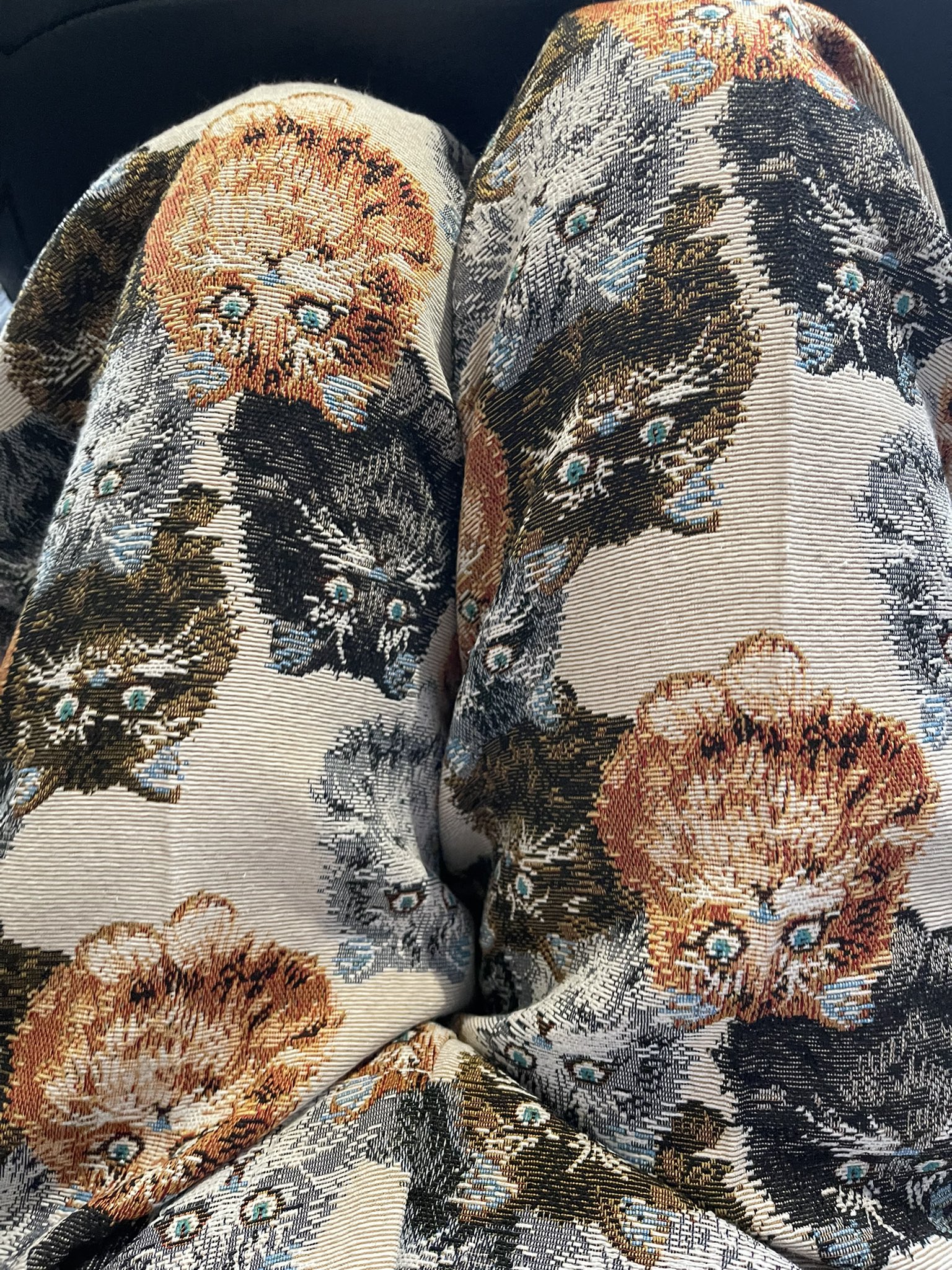 20周年の中川翔子🍒🍉🍫🍇🐈‍⬛🍣 on Twitter: "mmts 新作！ 猫いっぱい ゴブラン織りシリーズ ゴージャスな厚み、一生モノ ️ https://t.co/9Hu6aT13Vs ...