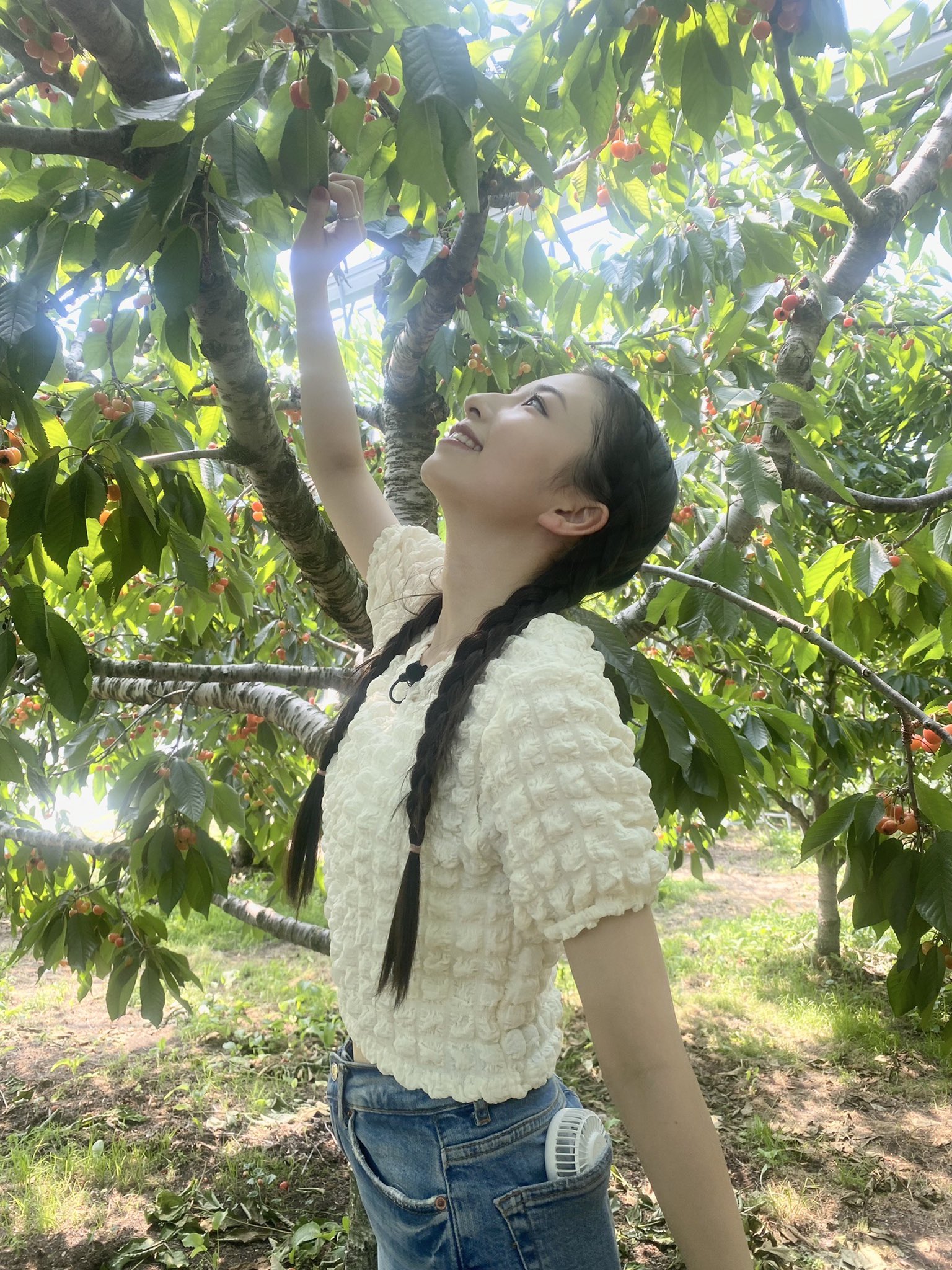 @onefive on Twitter: "生配信まであと.....1日🍒 GUMIです！ 私は出演できない代わりにテキストで参加しようと思ってます！⭐️ みんなで楽しい夏の思い出を作り ...