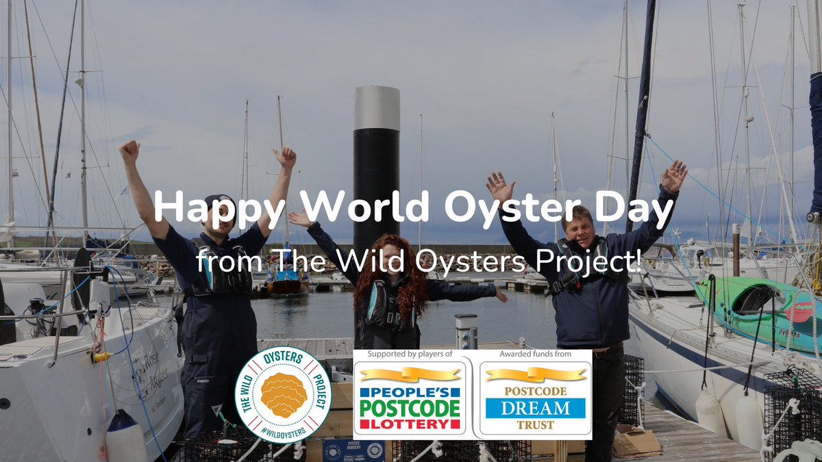 News – Wild Oysters project
