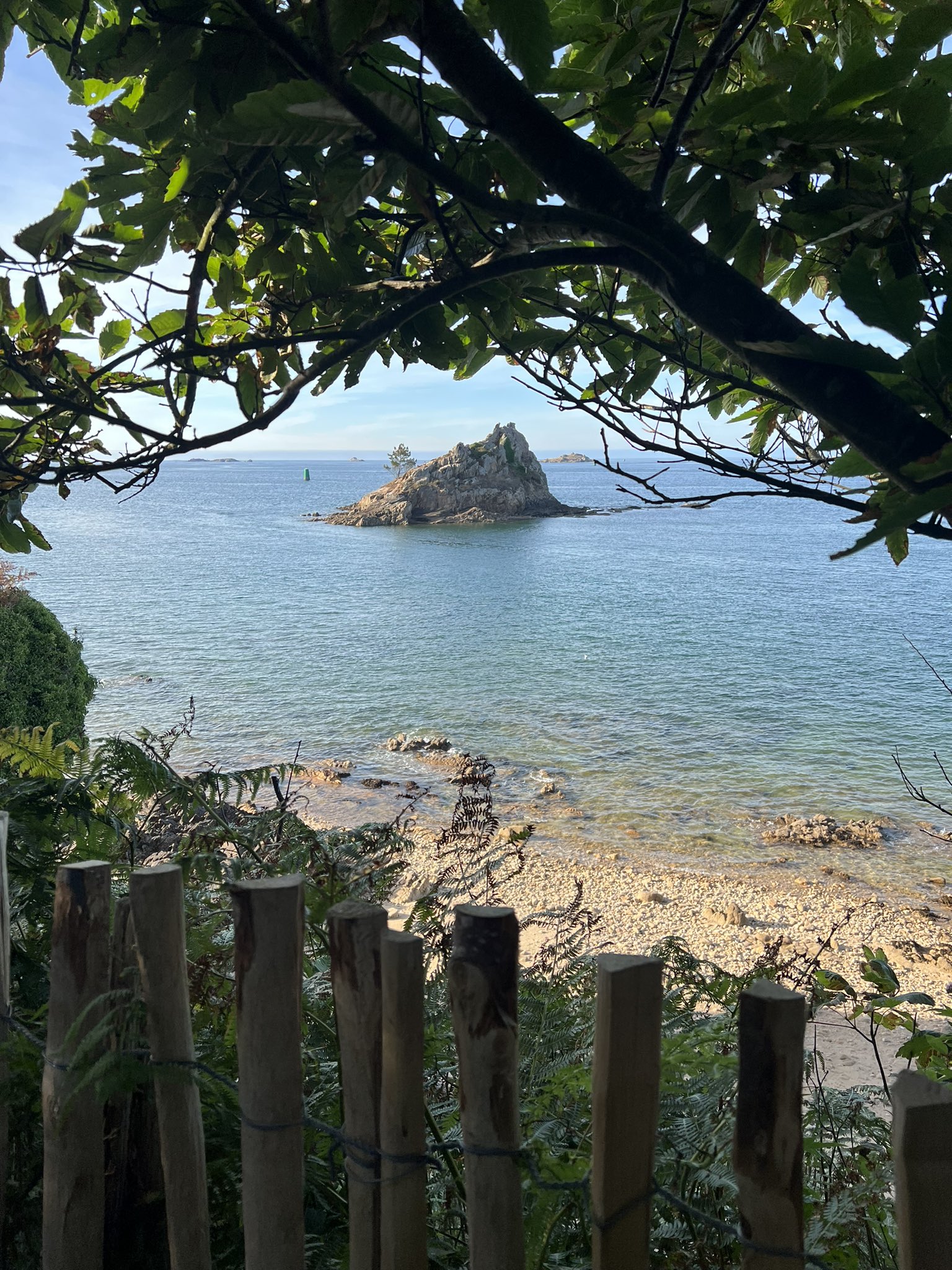 TW Pornstars - 2 pic. Vivienne Cole. Twitter. Who new Bretagne was so ...