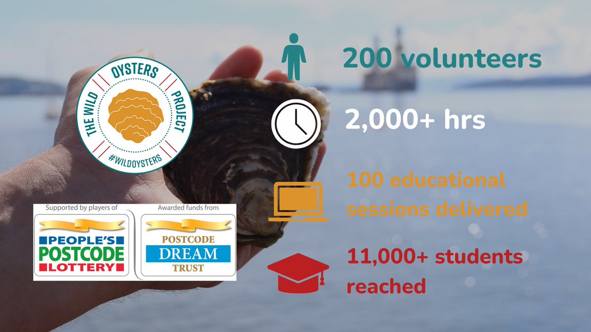 News – Wild Oysters project