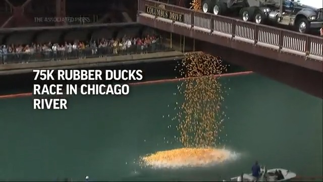 Over 75,000 rubber ducks raced down the Chicago River on Thursday, an ...