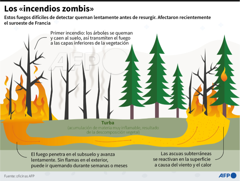 INFOGRAFÍA que muestra el mecanismo de propagación de los incendios ...
