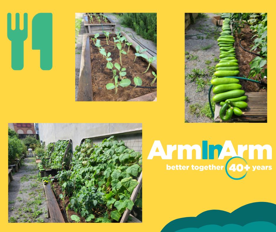 Get 3 days of food for your family! | Arm In Arm