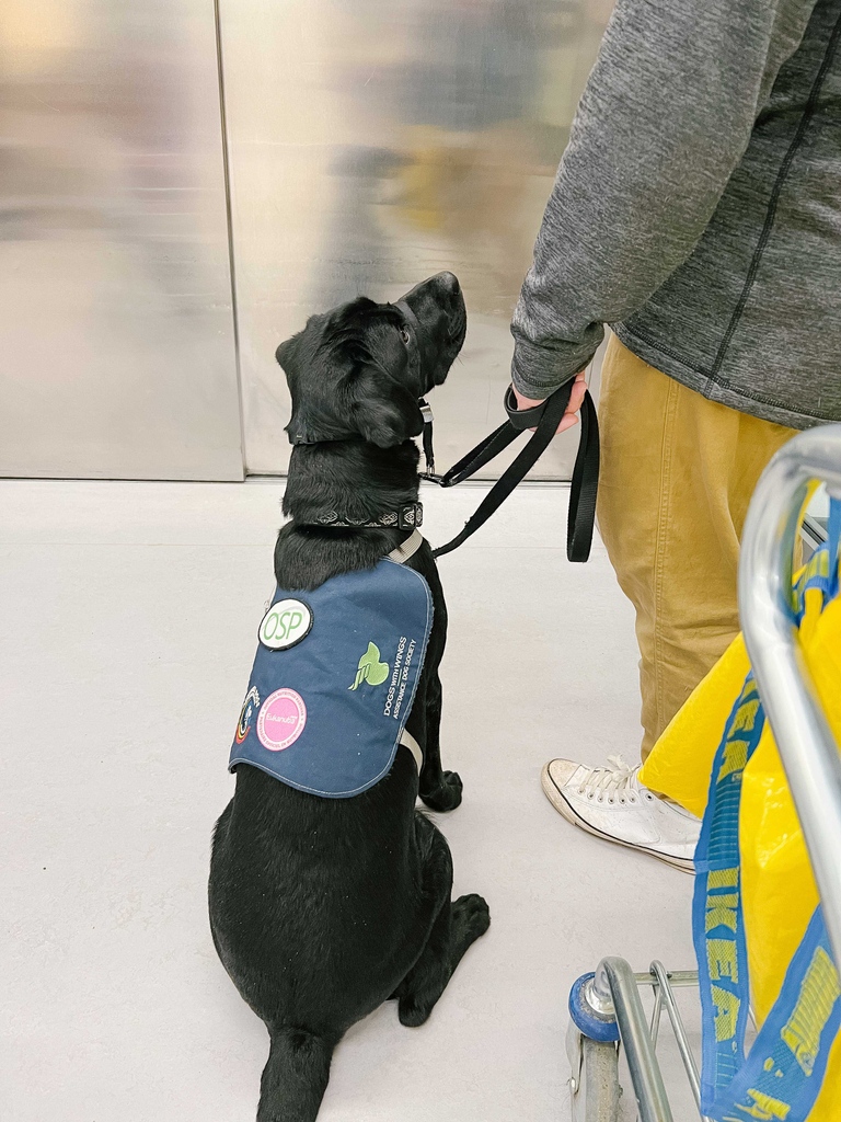 On Site Placement – OSP is a non-profit, charitable organization ...