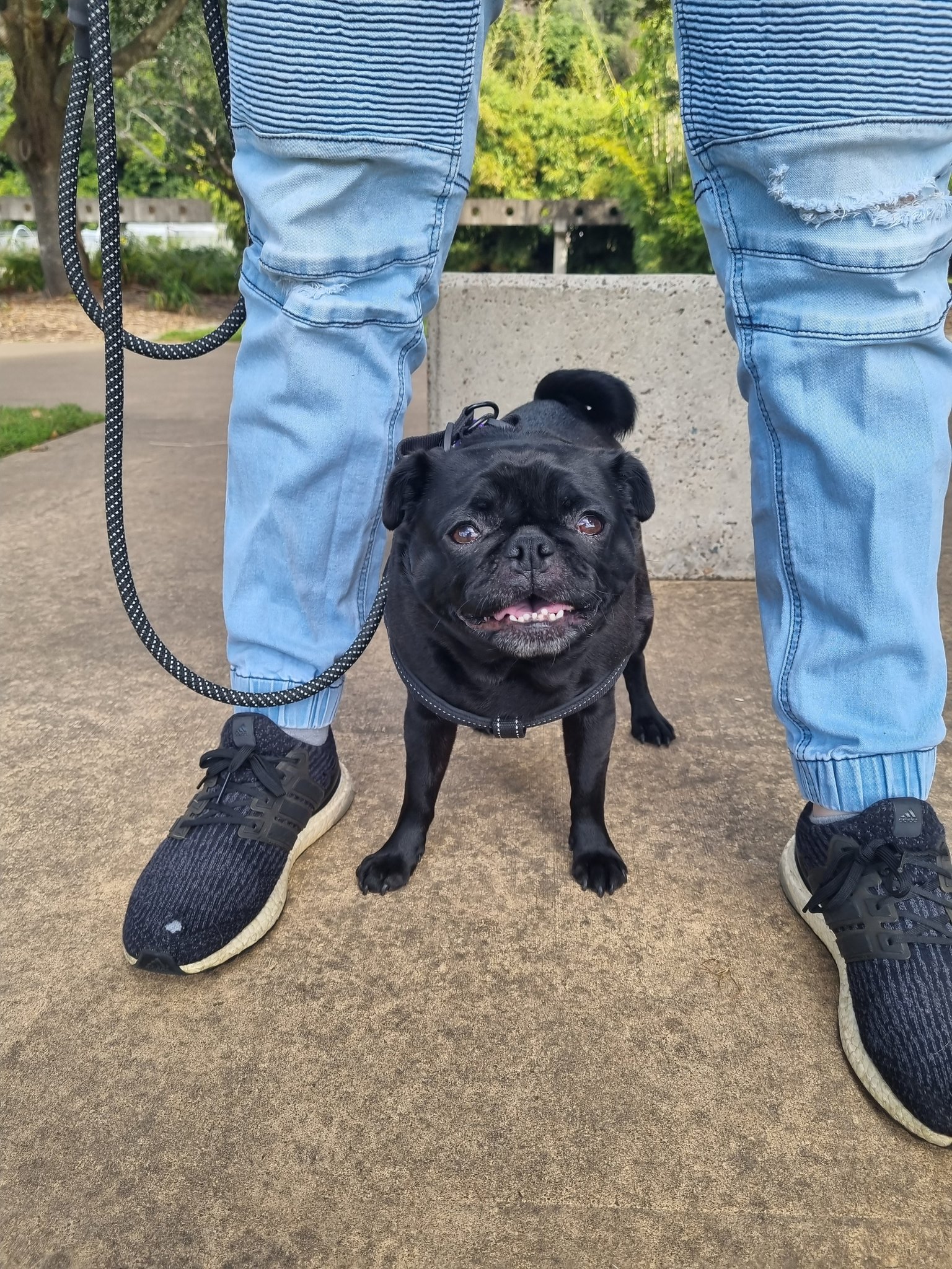 TW Pornstars - 3 pic. Kayla Erin. Twitter. We had a day at the park ...