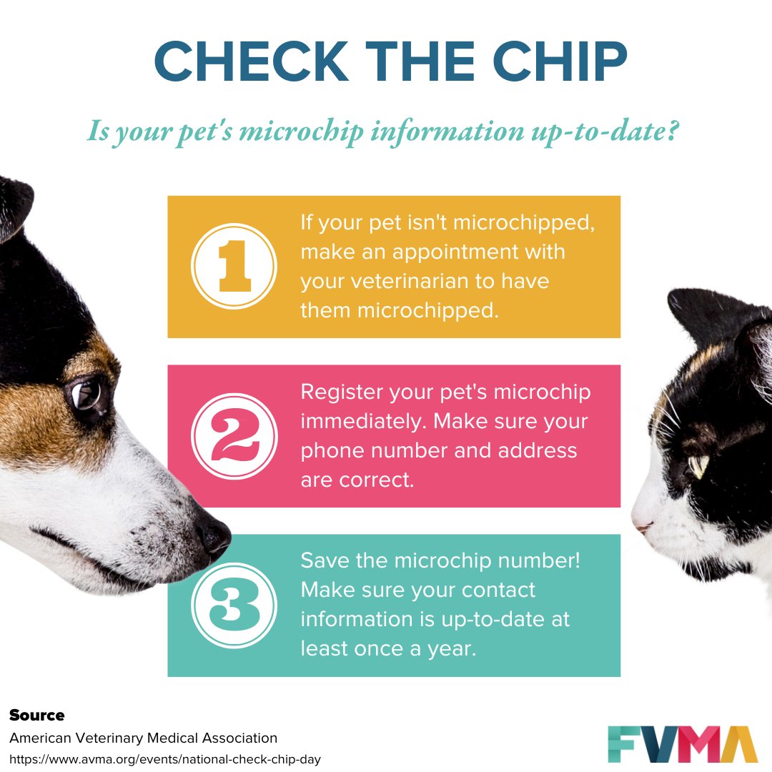 How Do You Check If My Dogs Microchip Is Registered
