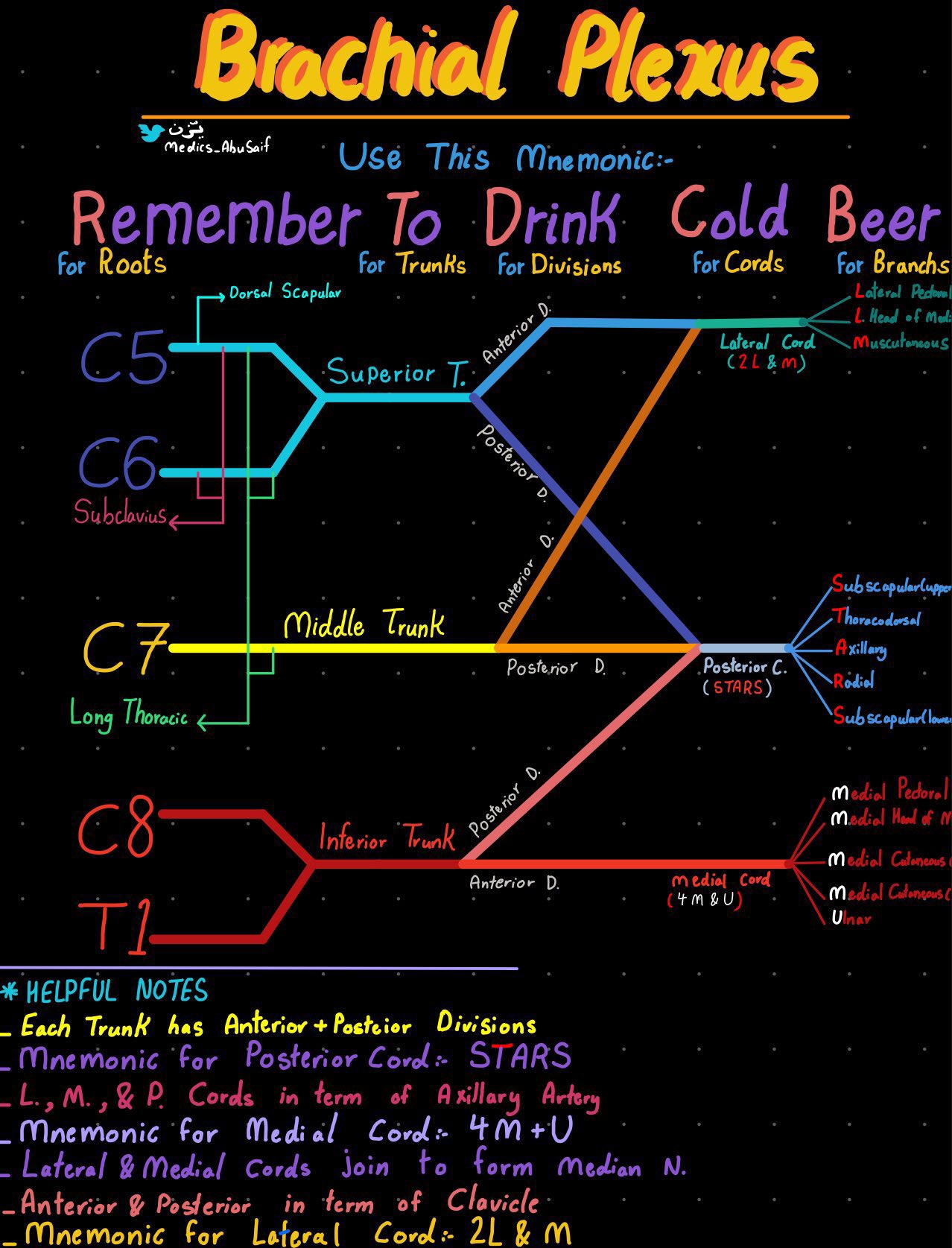 Mnemonics For Brachial Plexus Brachial Plexus Mnemonic