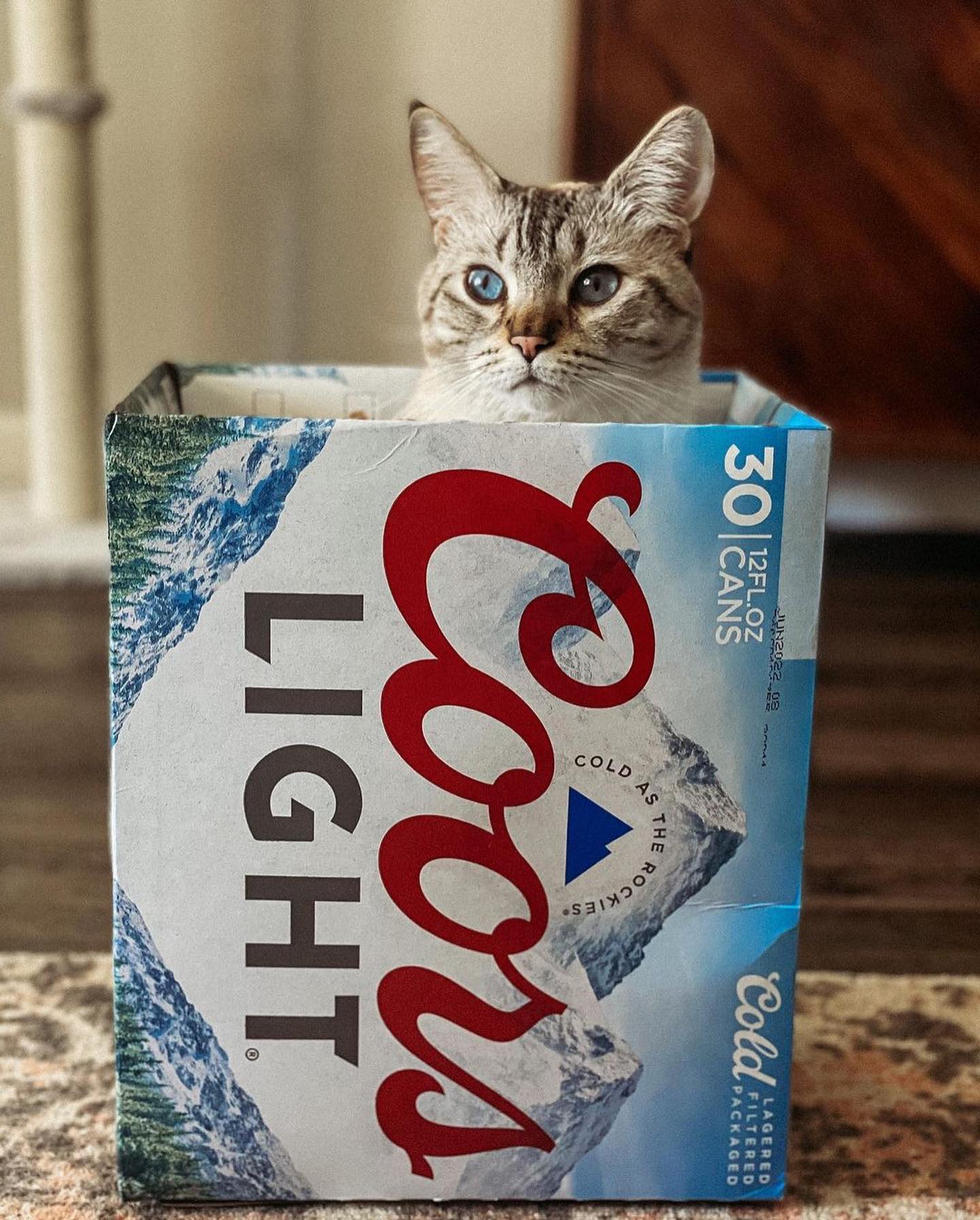 Tw Pornstars Blowbang Girls Twitter My Kind Of Cat Lol 4 52 Pm