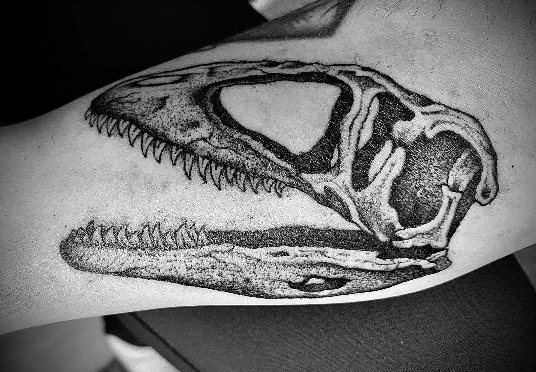 Velociraptor Fossil Tattoo