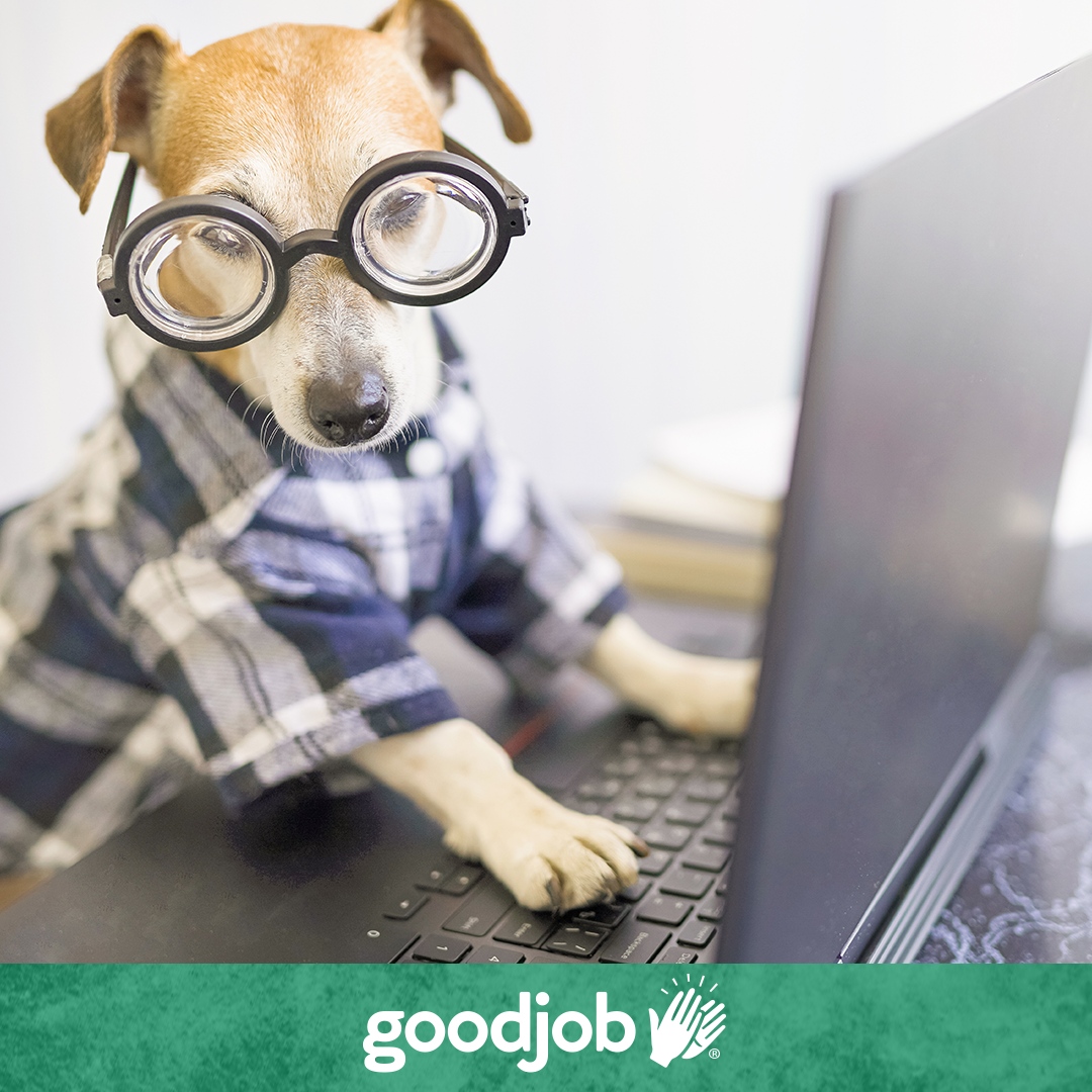 Where Did The Phrase Working Like A Dog Come From