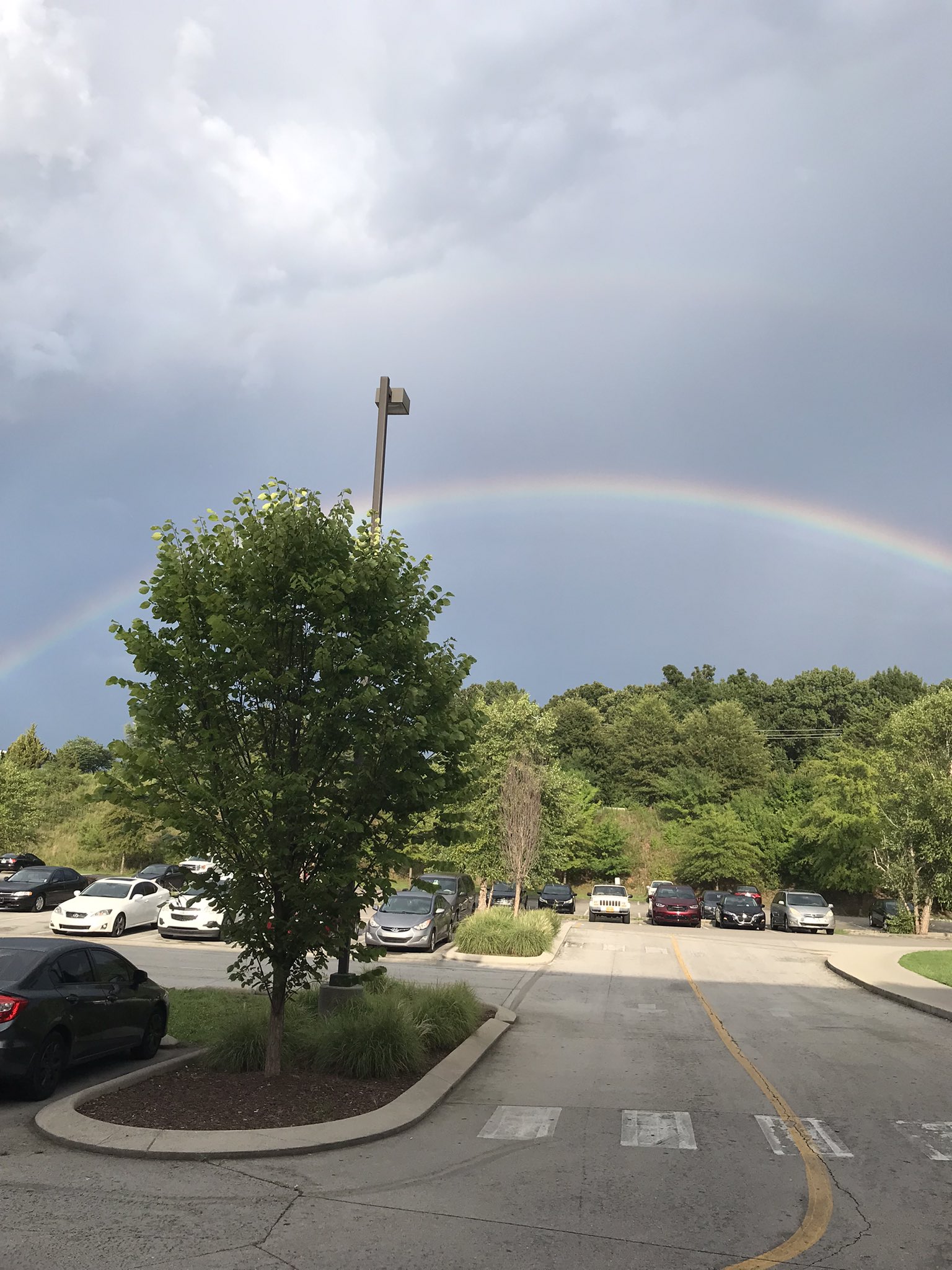 TW Pornstars - 2 pic. Ty ꪜ. Twitter. Rainbow 🌈 pic by me 📸 ...