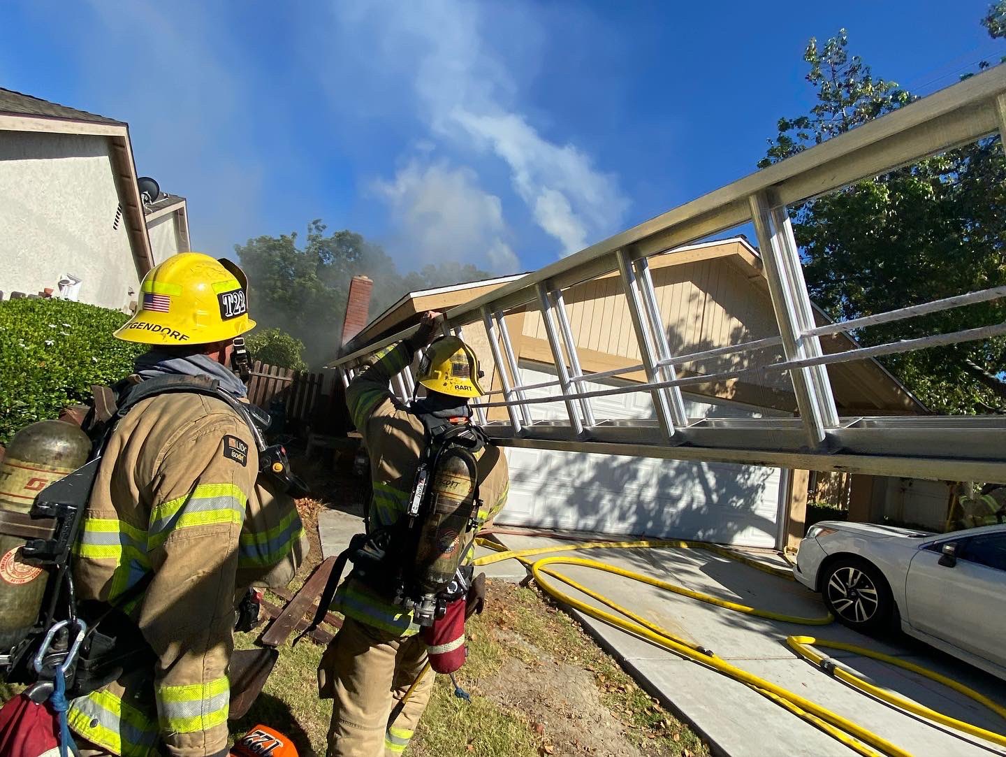 Fireman Saving A Picture Of The Day