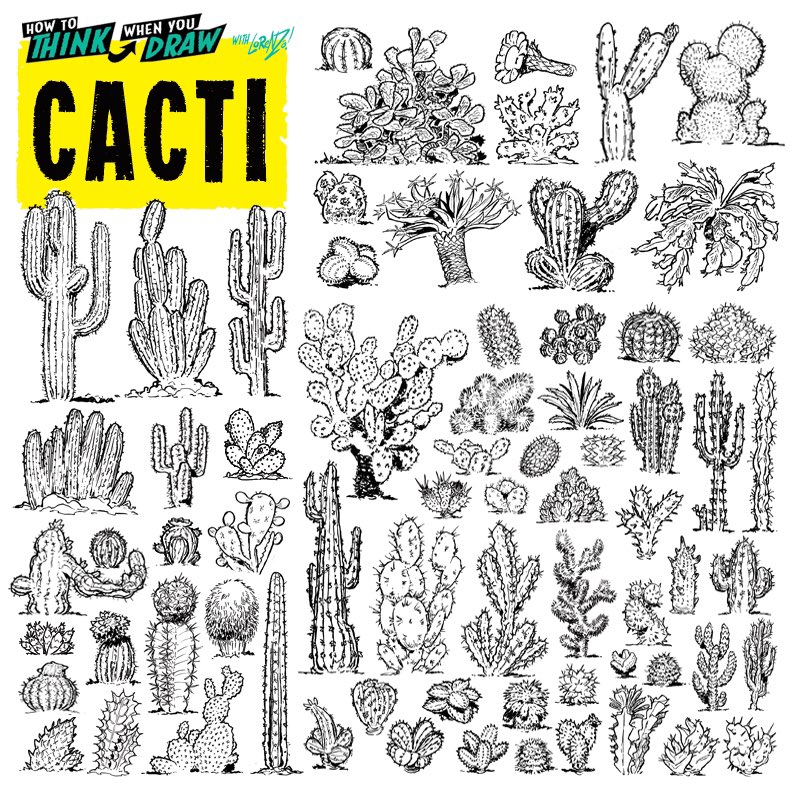 EtheringtonBrothers on Twitter: "CACTI from the #howtoTHINKwhenyouDRAW encyclopedia - the world ...