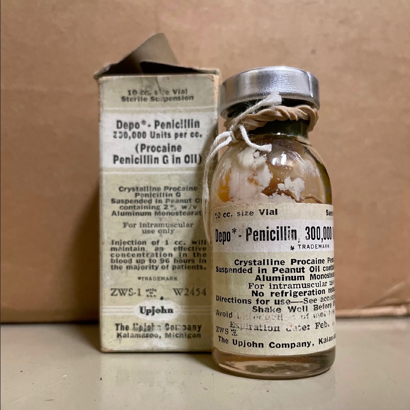 Penicillin Mold Discovery