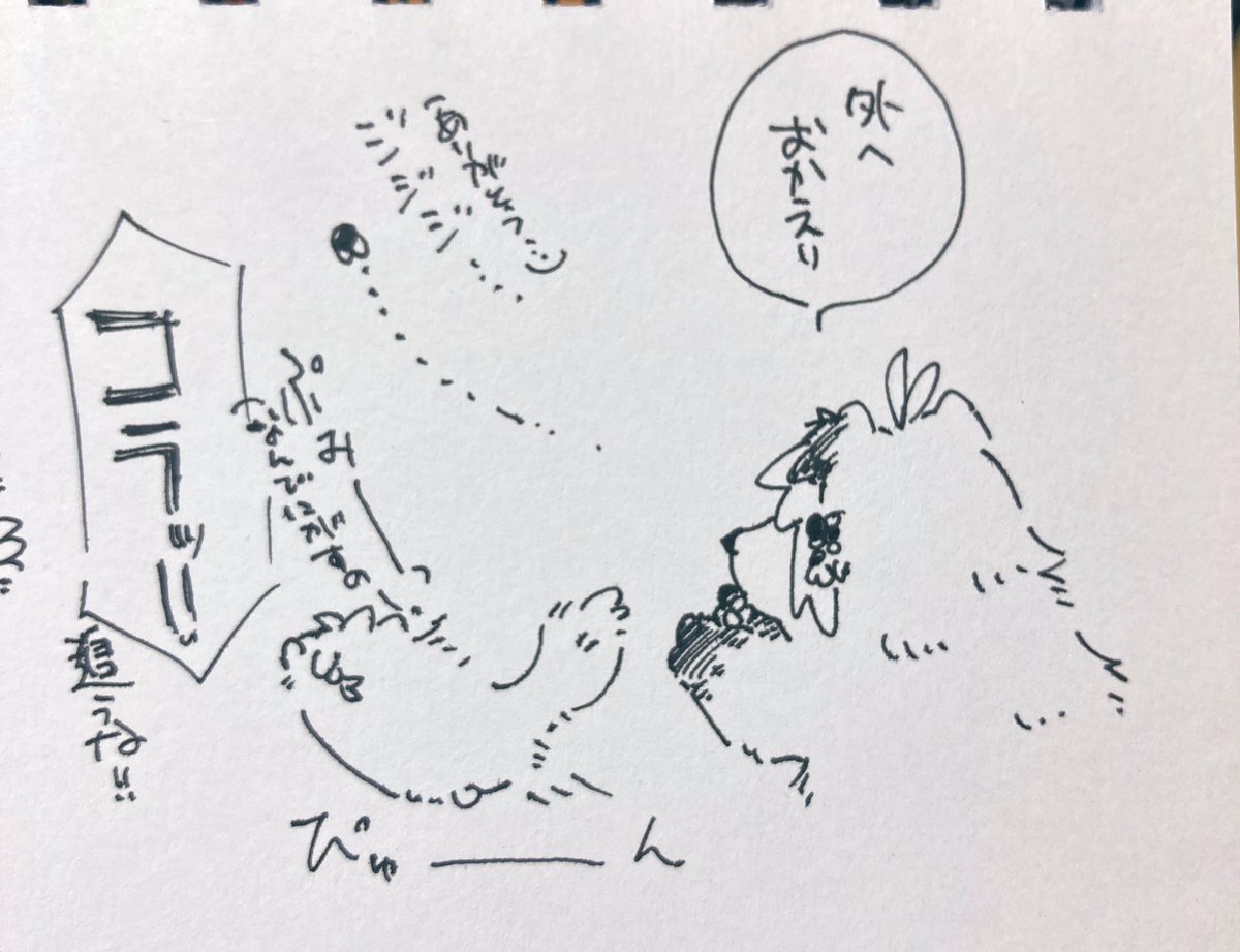 「セミは犬マキちゃんがお外へ逃しましたとさ 」床の間Q C105 (月)西1 “の”17bの漫画