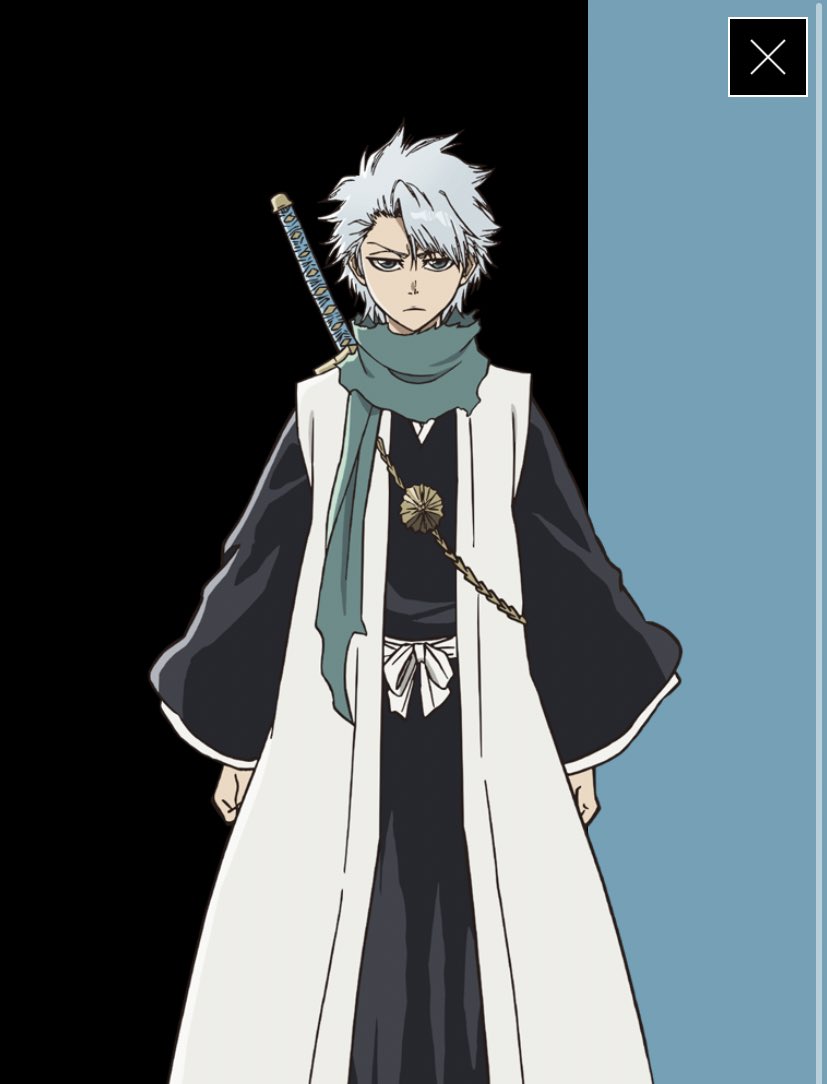 Toshiro Timeskip