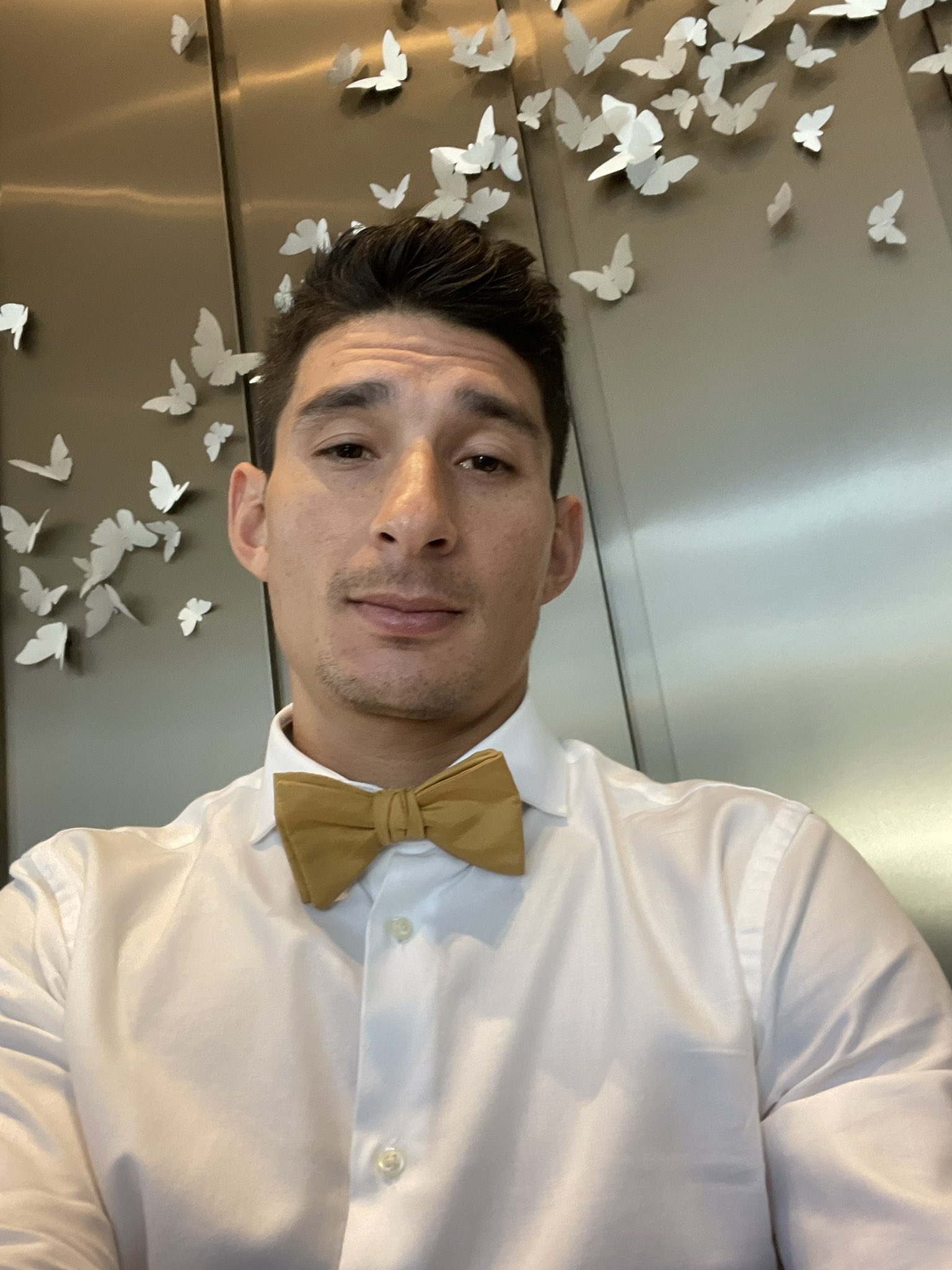 TW Pornstars - Jimmy Fit. Twitter. “Mute For Today” 👨🏻‍💻. 5:41 PM - 6 ...