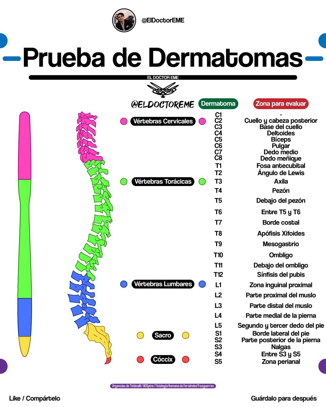 Mauricio Montelongo on Twitter: "🧴EVALUACIÓN DE DERMATOMAS🧴 •Raíz. •Zona para evaluarlo ...