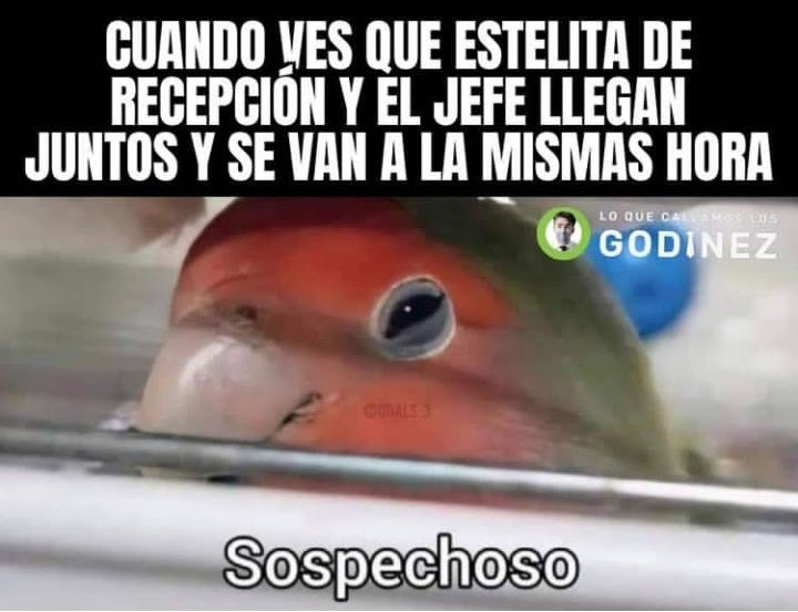 Meme Sospechoso