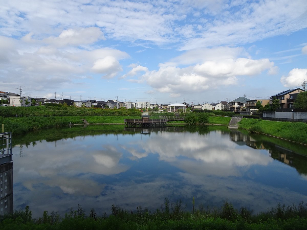 Ruby & Emmeline on Twitter: "八ツ屋大池公園のカワセミ 早起きして洗濯機を回してから、いい天気の大池を歩くと、珍しい黒ネコくんとカワセミくんのツーショットだ ...