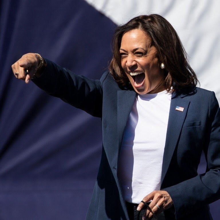 島田洋一（Shimada Yoichi） on Twitter: "仕事柄”歩くポリコレ“カマラ・ハリスのツイッターも一応チェックしているが、ポリコレ活動の自慢以外の内容はほぼ無い。 トランプ ...