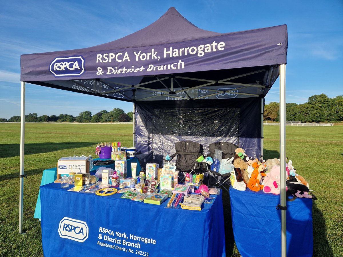 RSPCA York, Harrogate & District Branch - Adopt an animal