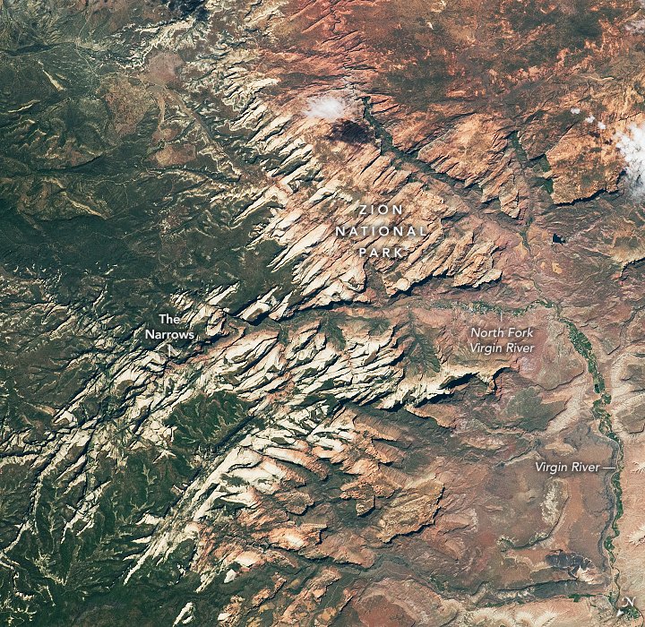 Light colored cliffs slice through the warm desert tones of Zion ...