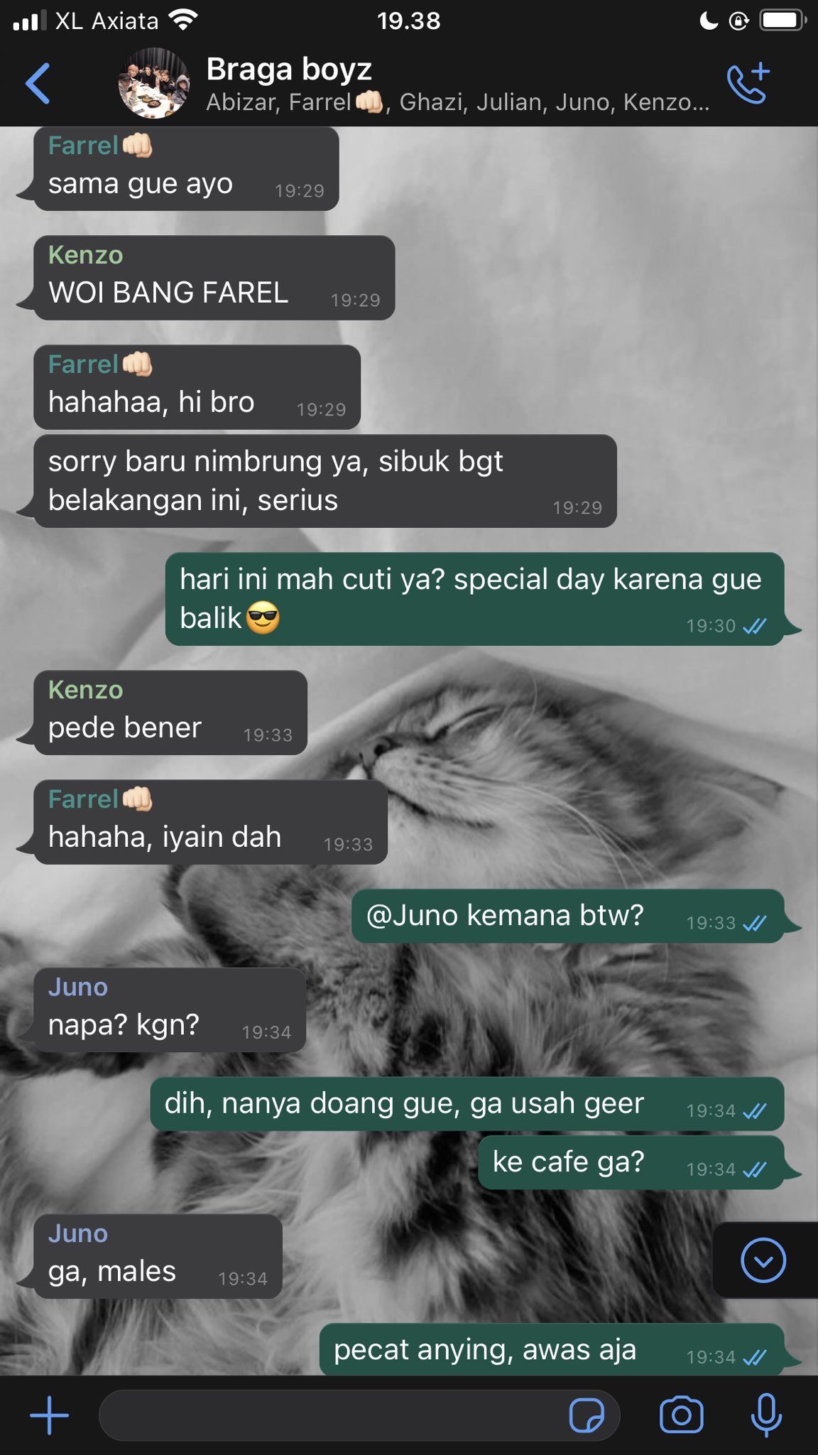 Vaa on Twitter: "364 https://t.co/7ta1ceFys6" / Twitter