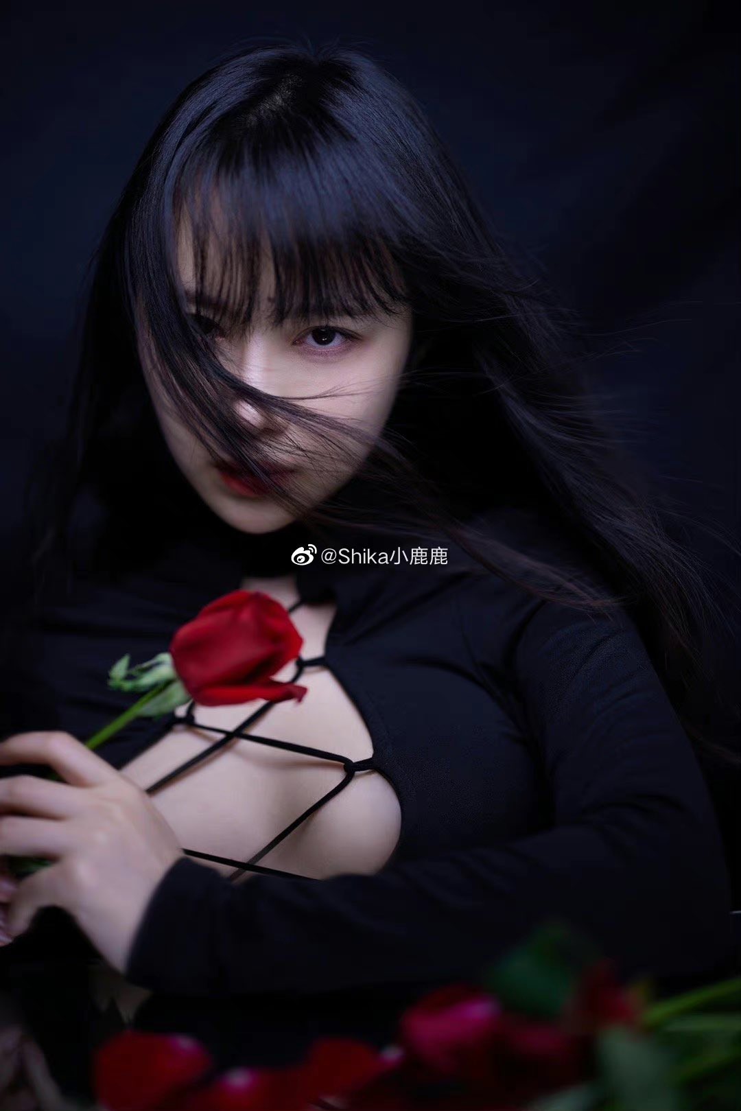 Shika🦌 on Twitter: "Every rose has its thorn https://t.co/UiXvtT9ouv" / Twitter