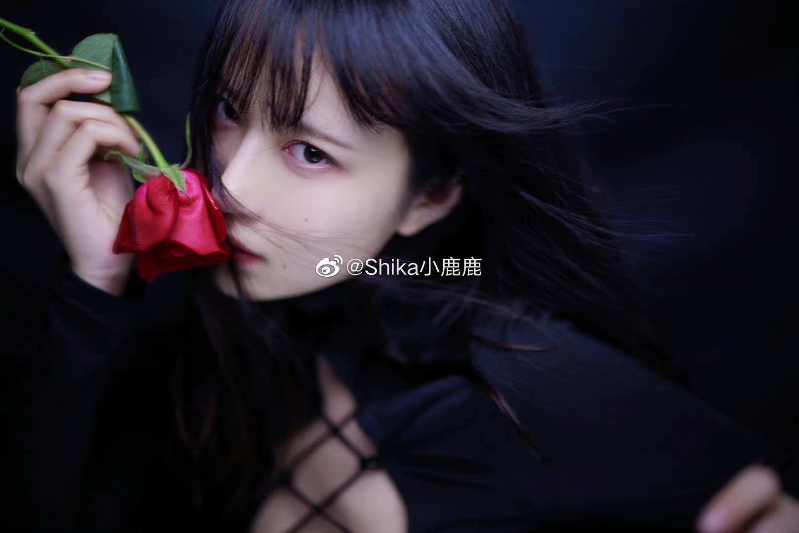 Shika🦌 on Twitter: "Every rose has its thorn https://t.co/UiXvtT9ouv" / Twitter