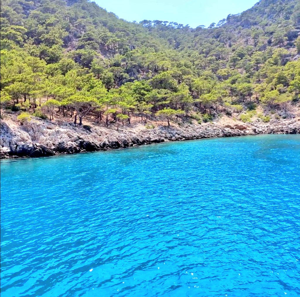 Gülsena Koçak on Twitter: Gülsena Koçak on Twitter: