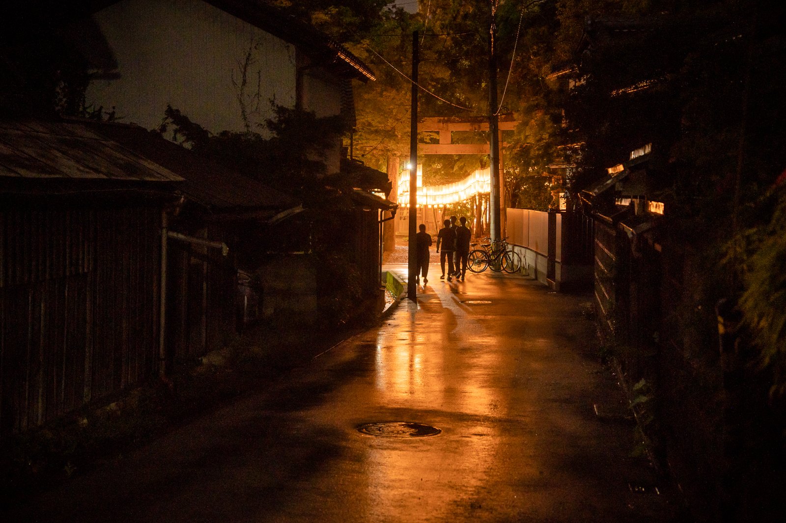 dokubutu on Twitter: "雨の間の 祭り灯かり に誘い寄せられる。 https://t.co/fFy2moOLiq" / Twitter