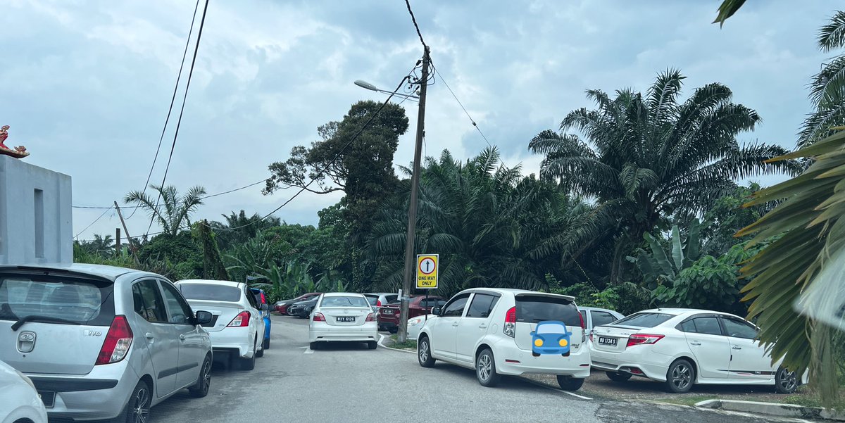 Ikan Apa Banyak Di Atas Jalan Raya - RhiannailHaynes