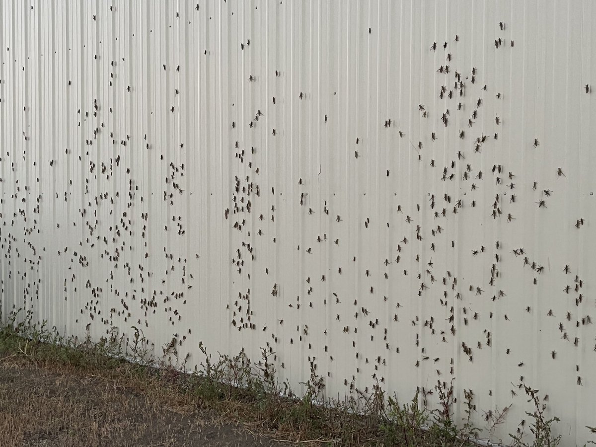 Hursh Consulting & Communications Inc.