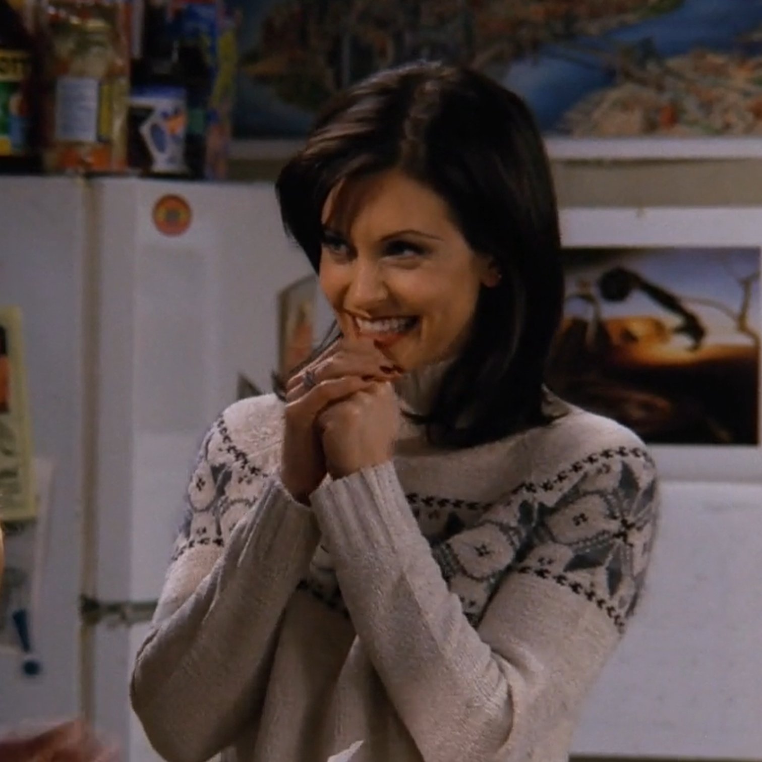 Monica Geller Venner