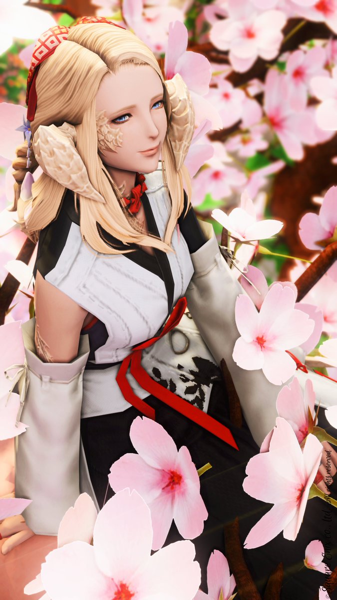 siesta_studio【FC】 | StudioXIV