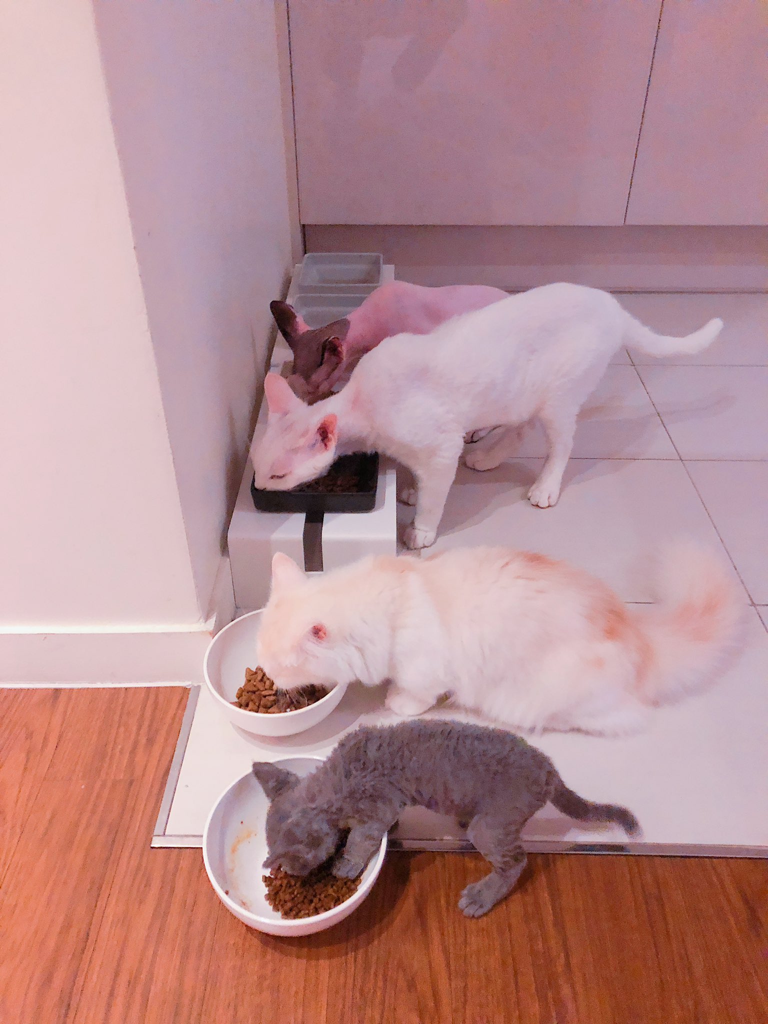 PP_MTBB_Skrrt (@PP7MTBB) / Twitter