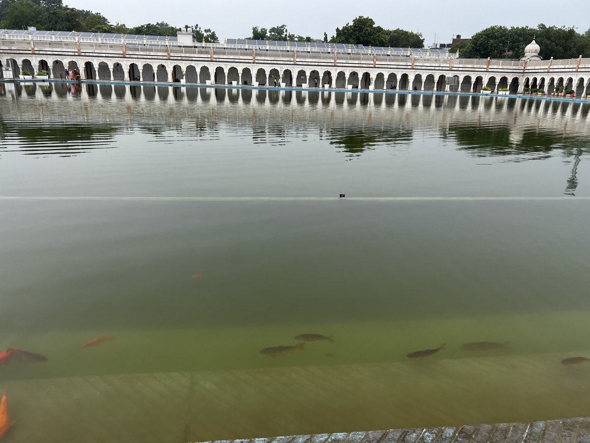 Ok, back home, some of my Delhi pics, first, the Sikh temple, its ...
