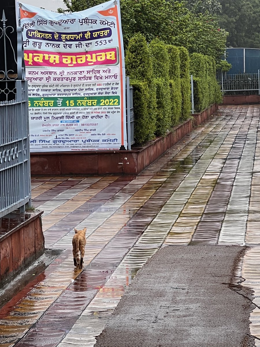 Ok, back home, some of my Delhi pics, first, the Sikh temple, its ...