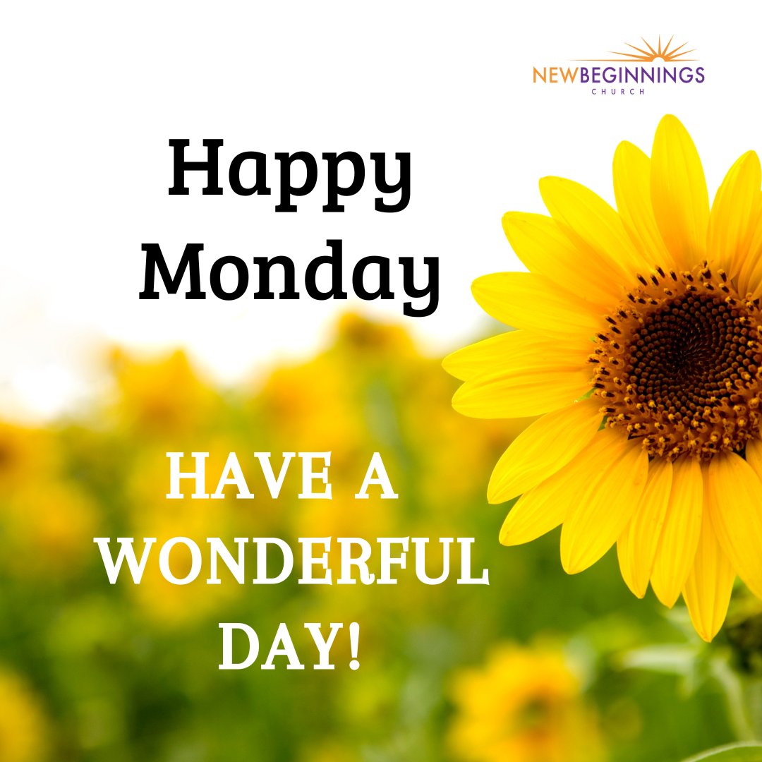 Have A Wonderful Day