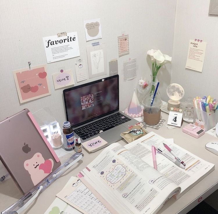 Cora On Twitter Hi I M Cora New To Studytwt I M Looking For